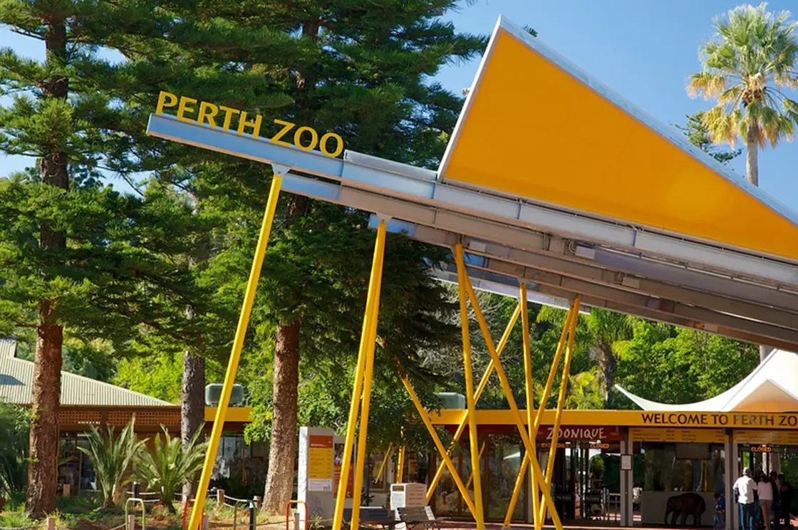Twilight Safari at Perth Zoo - ARSC 2025 Conference | Road Safety ...